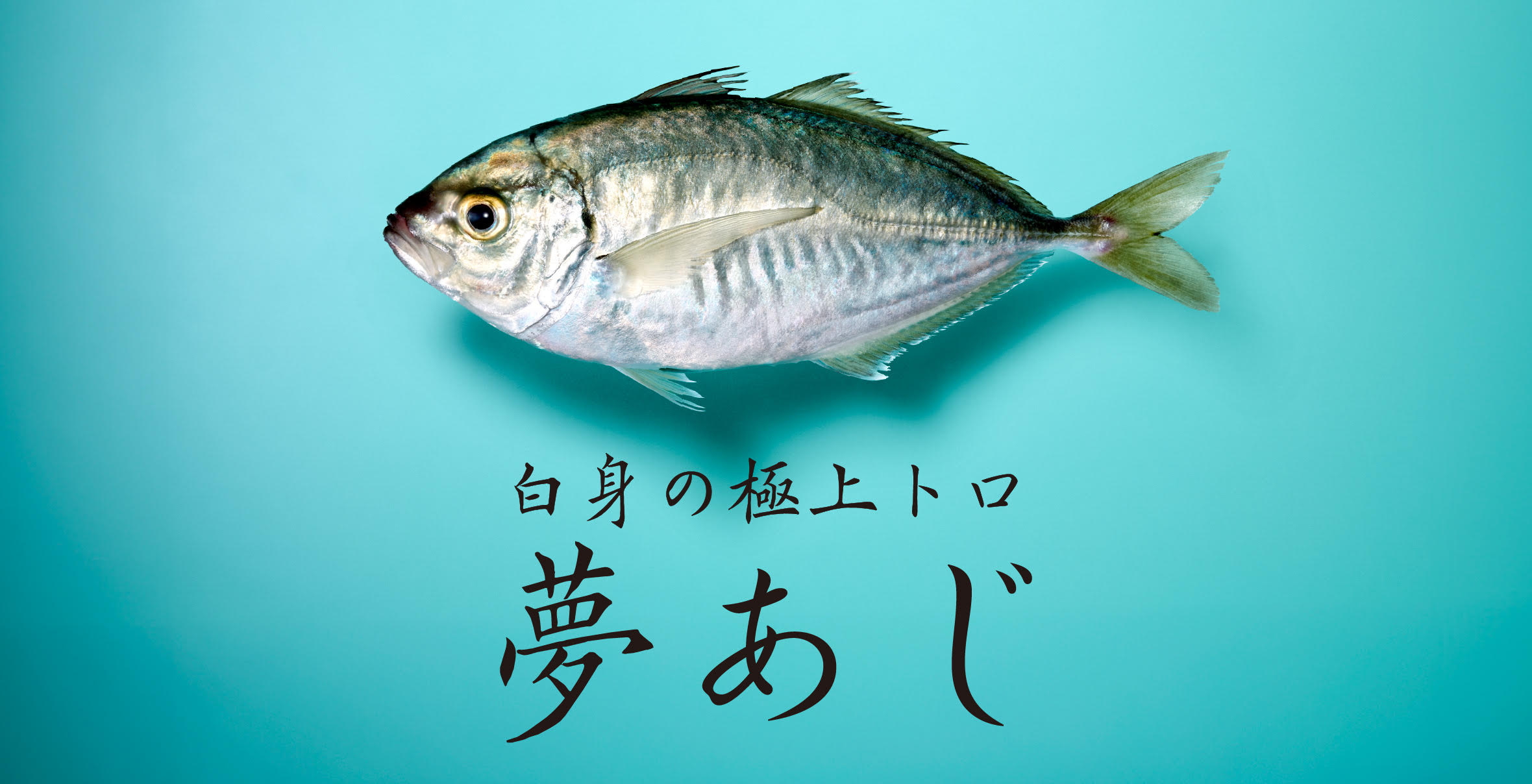 さかなドリーム、シリーズAで10億円調達― 日本食文化を未来につなぐ新規養殖魚ブランド「夢あじ」から広がる可能性 ― - ZEROICHI
